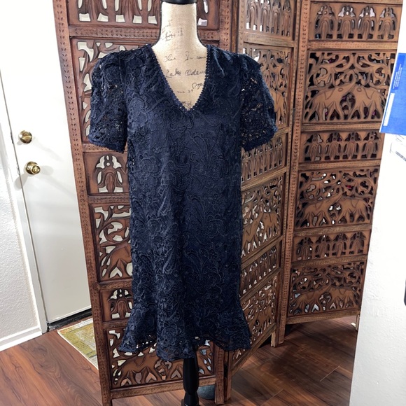 Express | Dresses | Express Lace Puff Sleeve Fit And Flare Dress | Poshmark